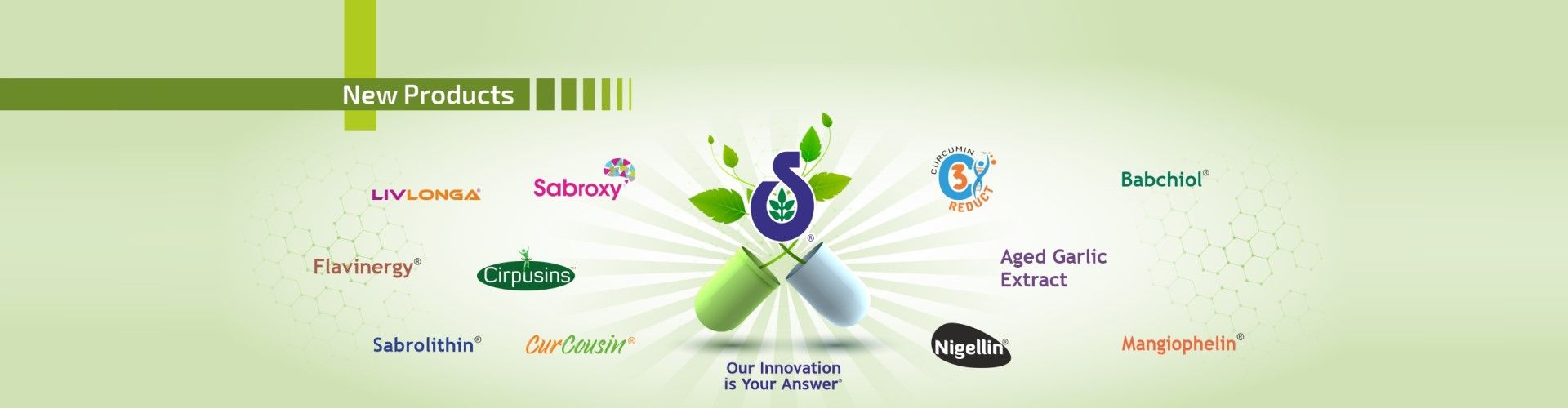 Home - Sami-Sabinsa Group | Formerly Known as Sami Labs Limited