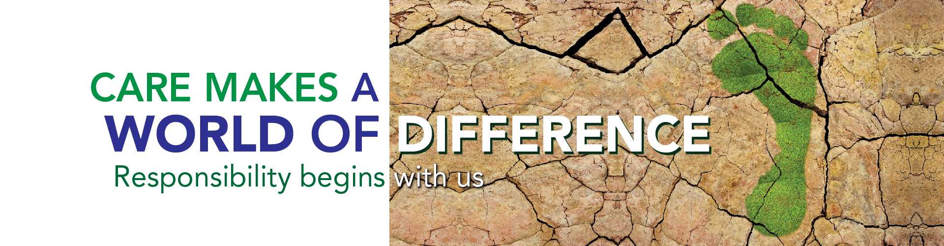 Home - Sami-Sabinsa Group | Formerly Known as Sami Labs Limited